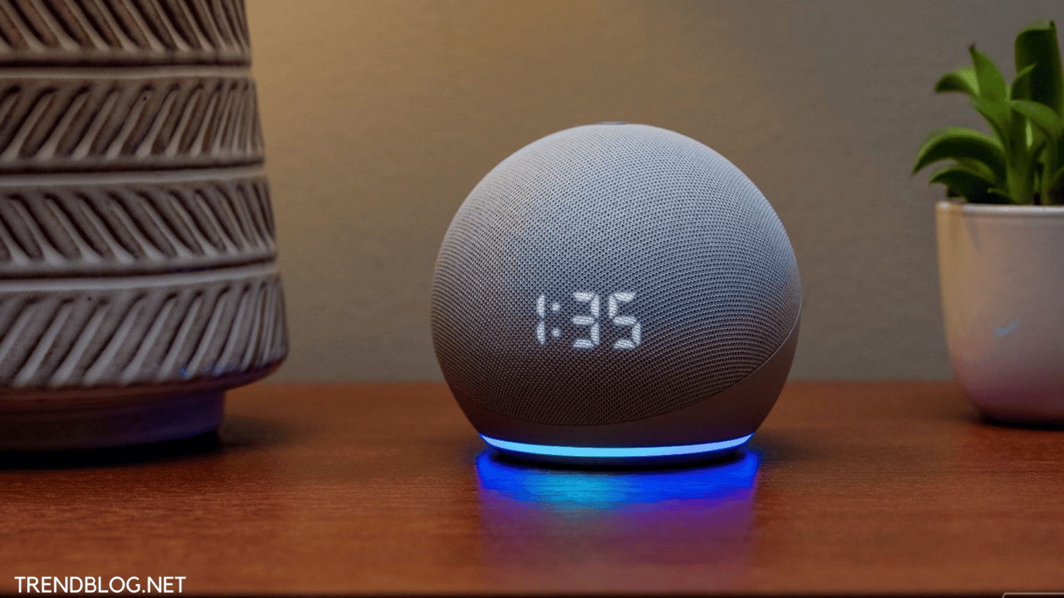 How To Set Up Alexa Echo With Simple Easy Tricks Trendblog How To Set Up Alexa Echo With Simple Easy Tricks Trendblog